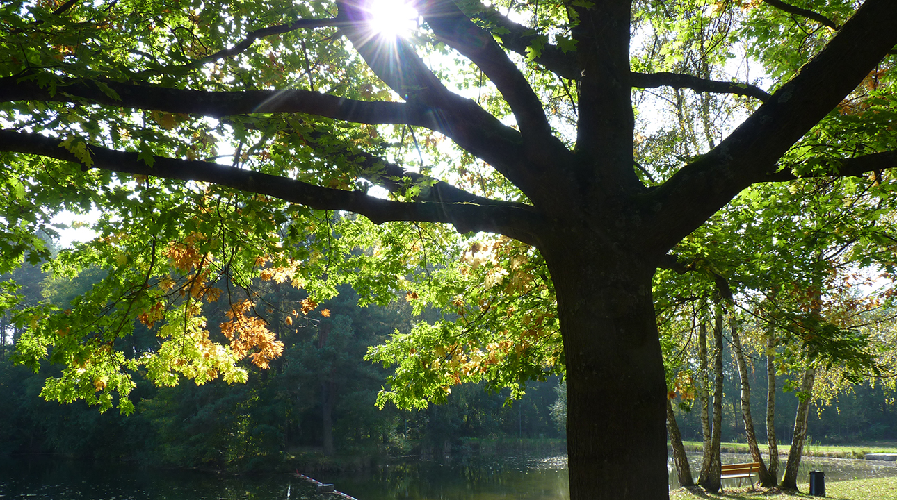 Freizeitzentrum Steinberg am See - Steinberg am See