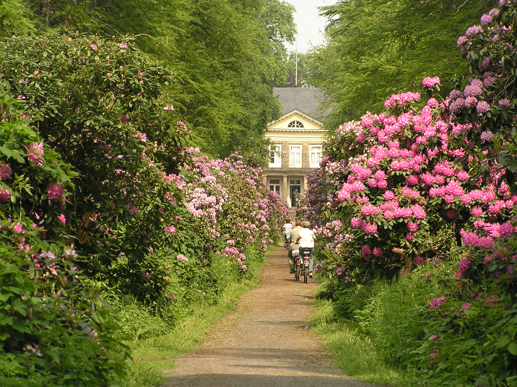 Schlossgarten Hagenburg