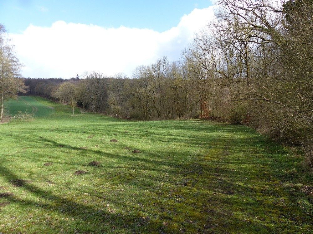 Sababurg-Bensdorf-Rundweg