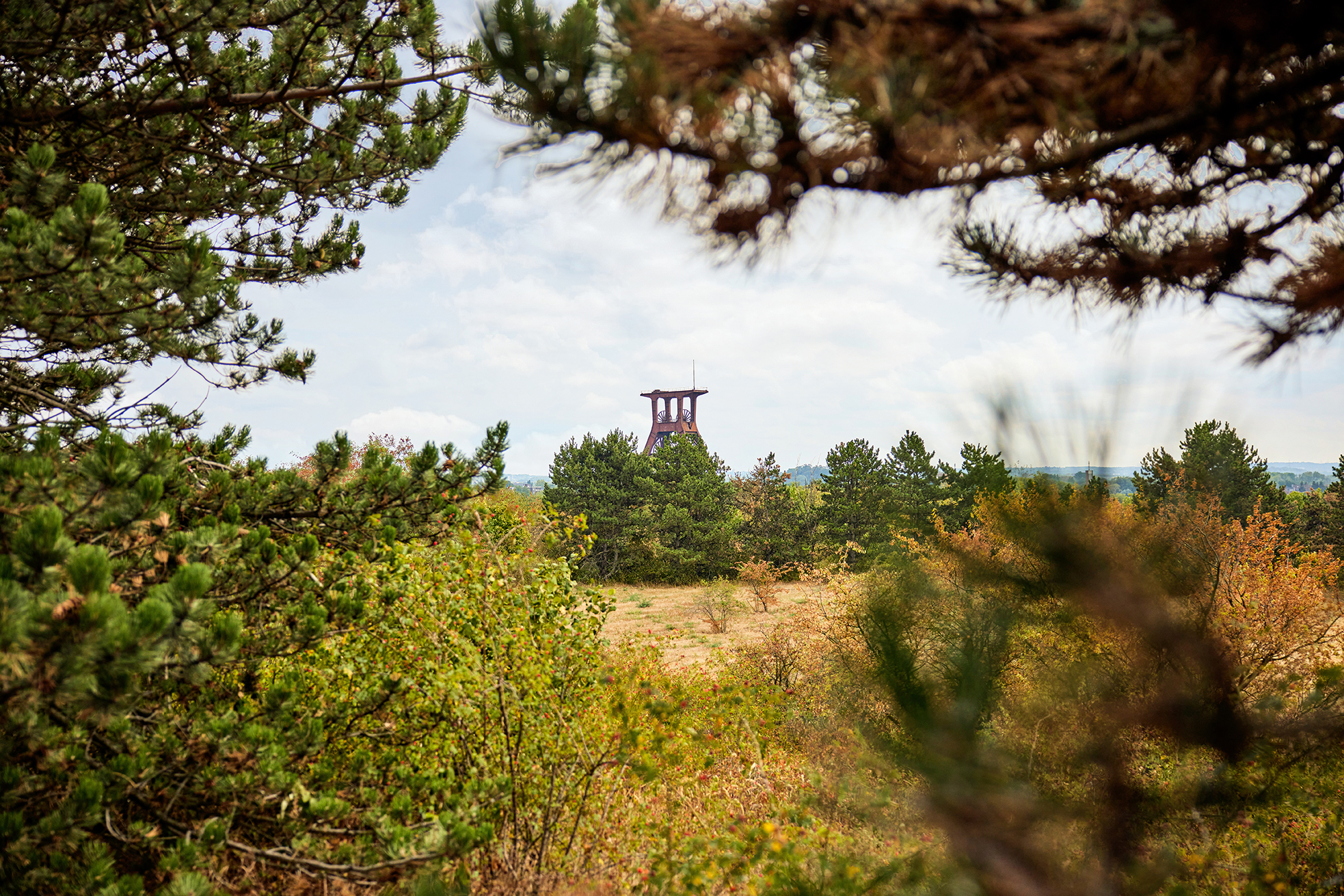 Halde Pluto-Wilhelm – Bochum Tourismus