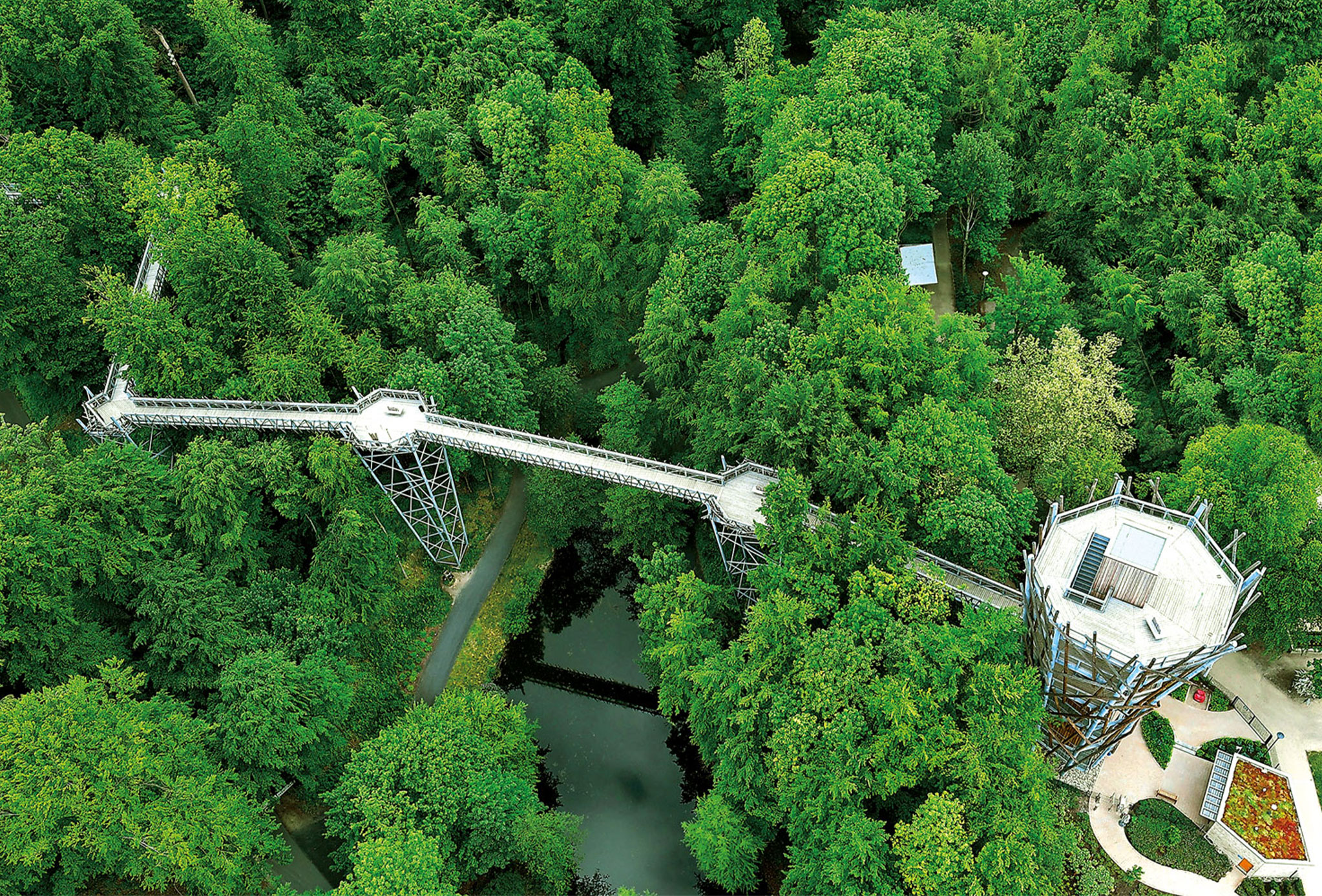 Wandelen over het boomkroonpad in Bad Iburg in Duitsland
