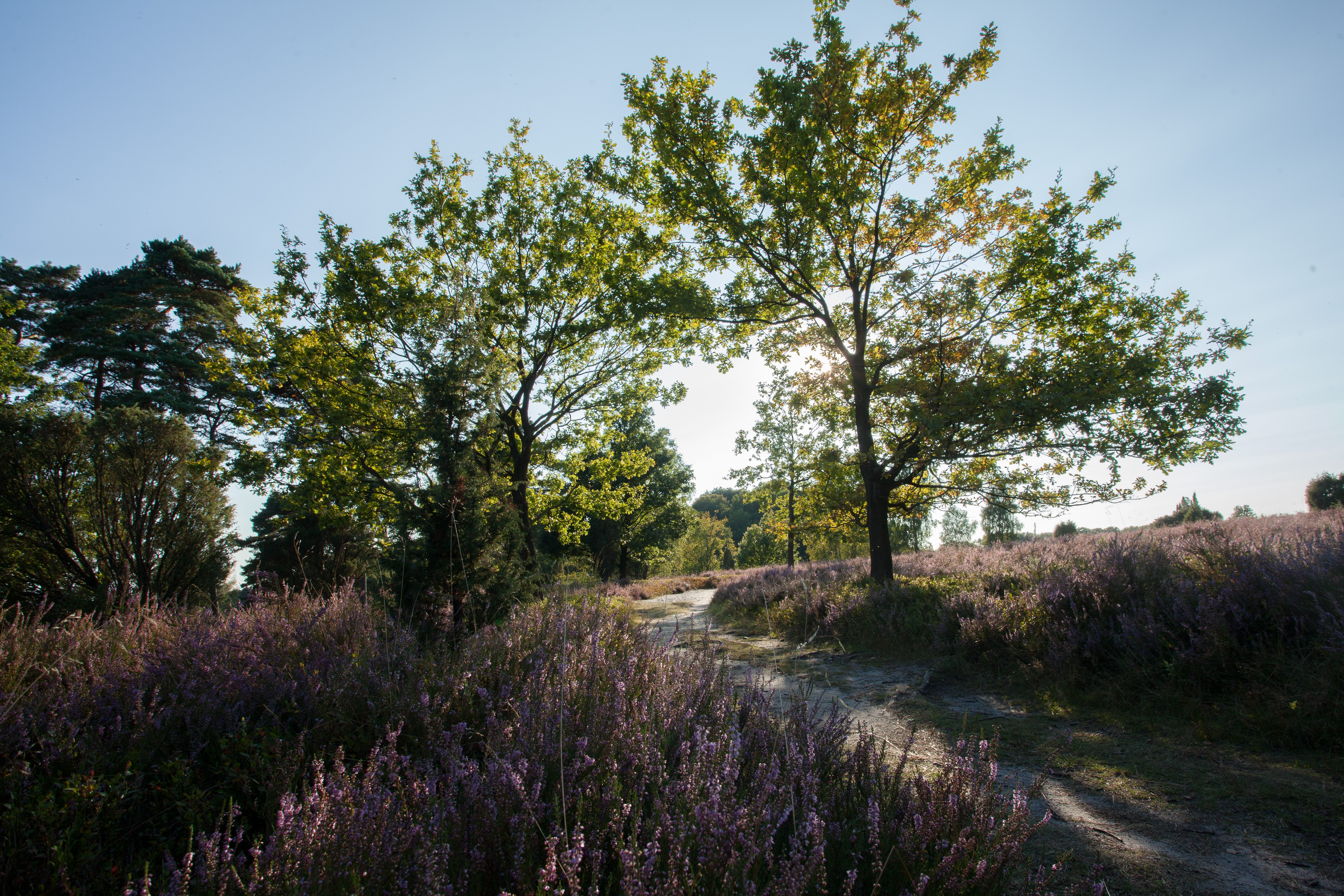 W1 Für Gipfelstürmer