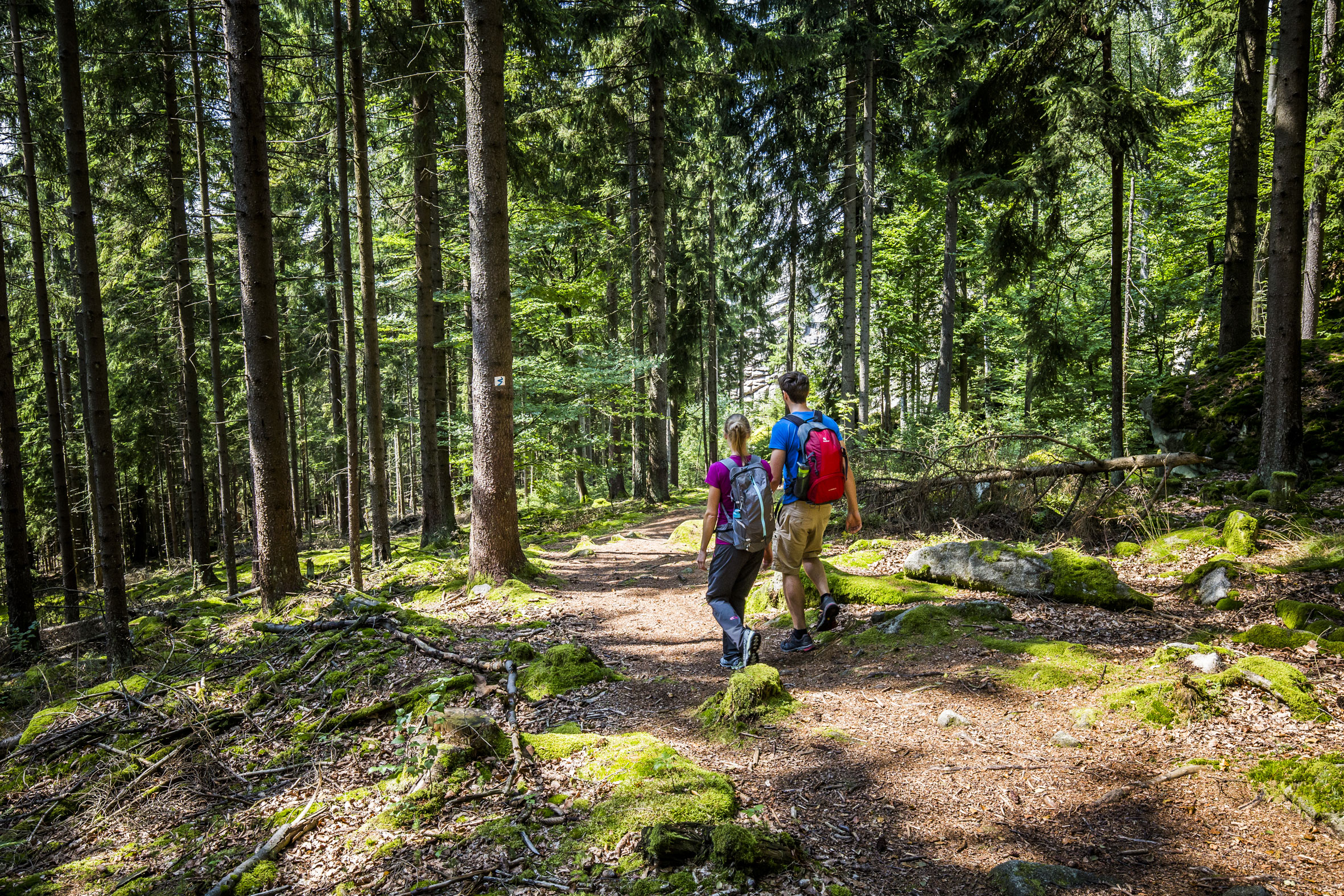 Griesbach-Steinberg - Oberpfälzer Wald - Ihr Urlaub in Bayern ...