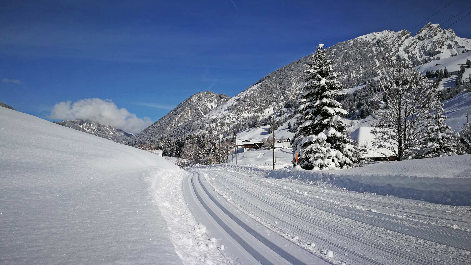 Diemtigtal Nature Park cross-country skiing