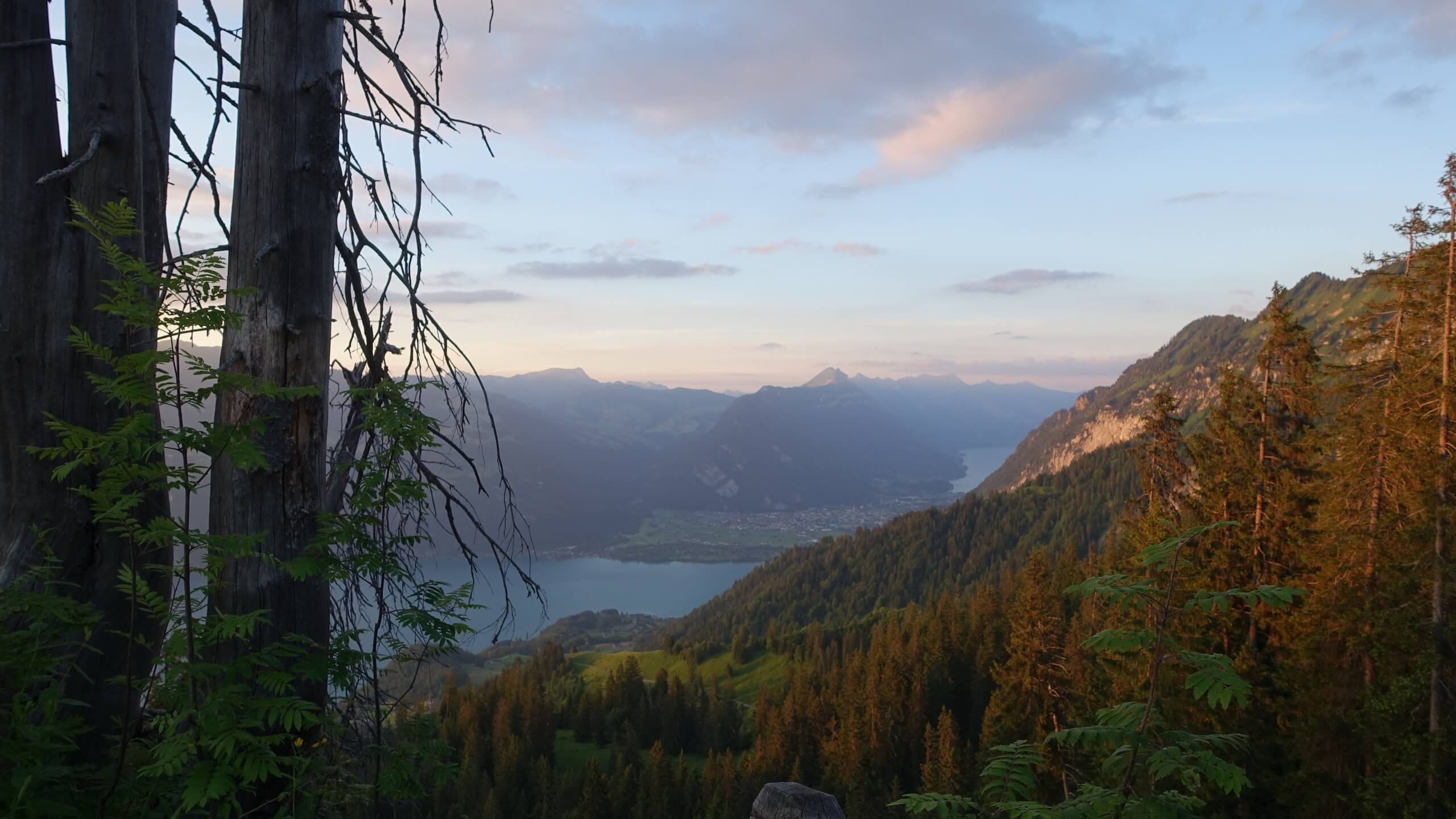 Alp Brunni | interlaken.ch