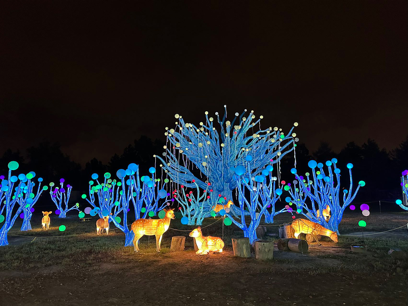 China Lights at Cologne Zoo Cologne Tourist Board
