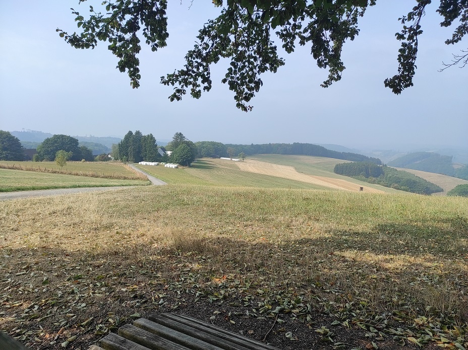 Herscheid: Rundwanderweg A4 (Marlin- Wellin - Danklin)