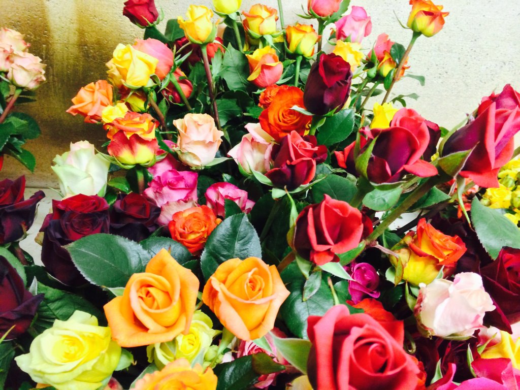 Weggis roses