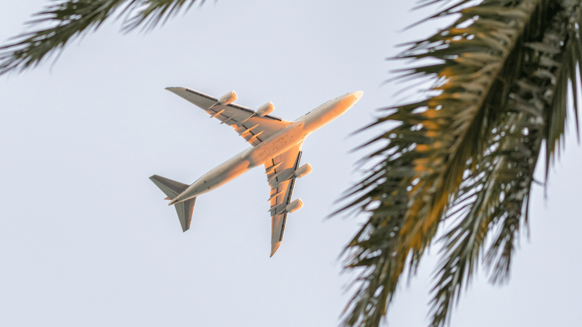 Reisebüro TUI Deutschland GmbH