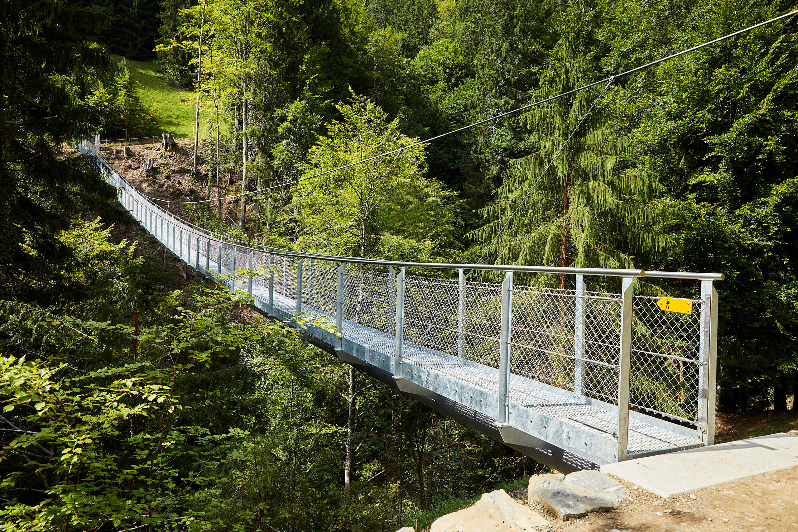 Hängebrücke Beatenberg