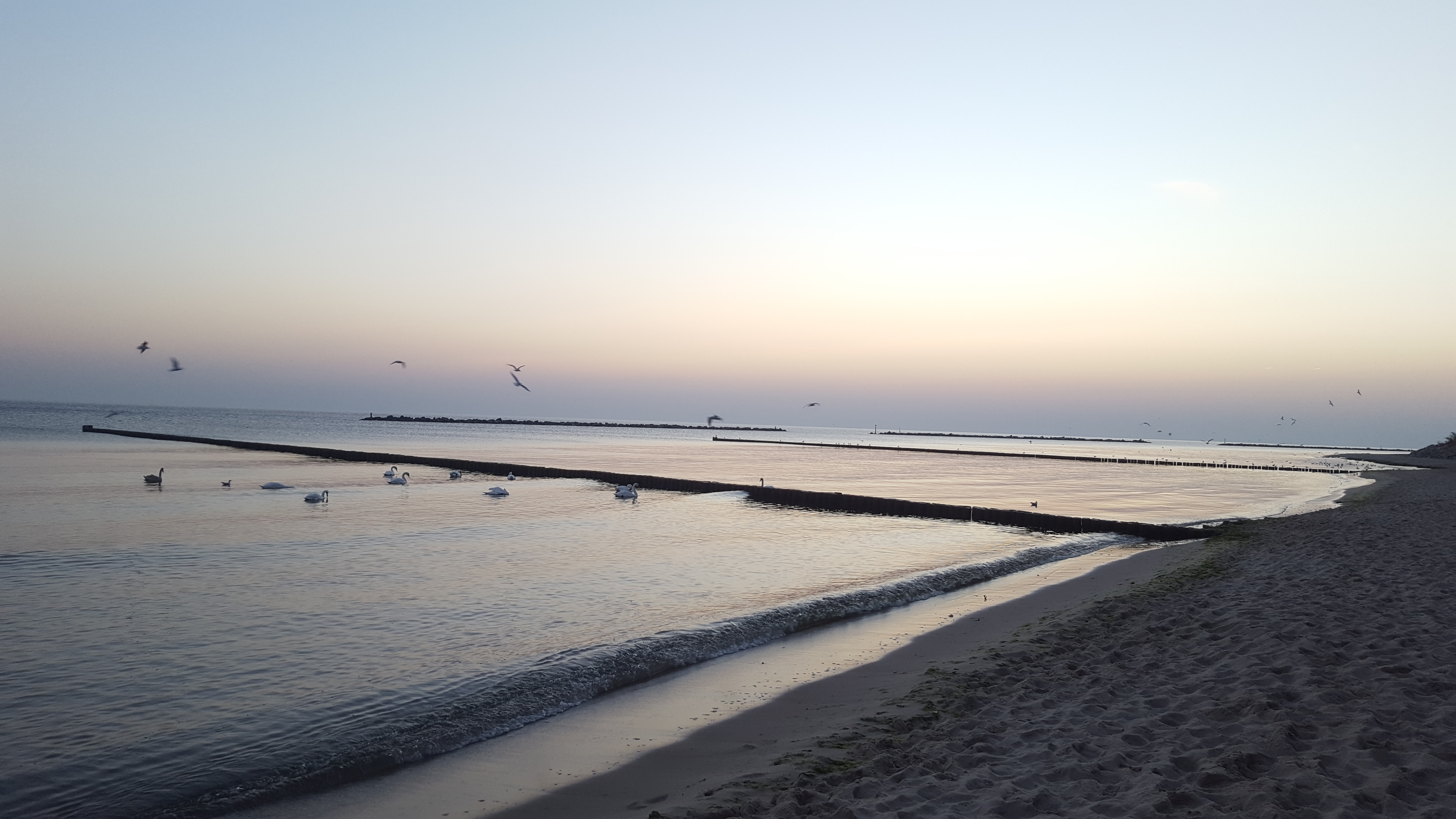 Author reading with Sandra Grüning