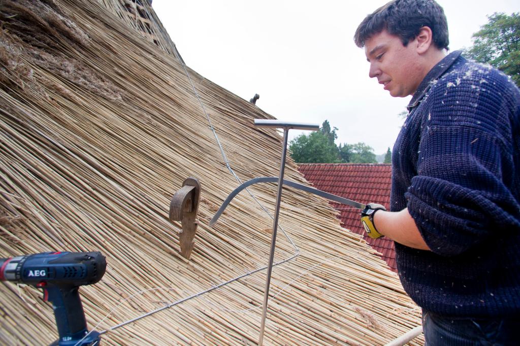 Experiment Schilf - Kinder-Audio-Guide Oste-Natur-Navi