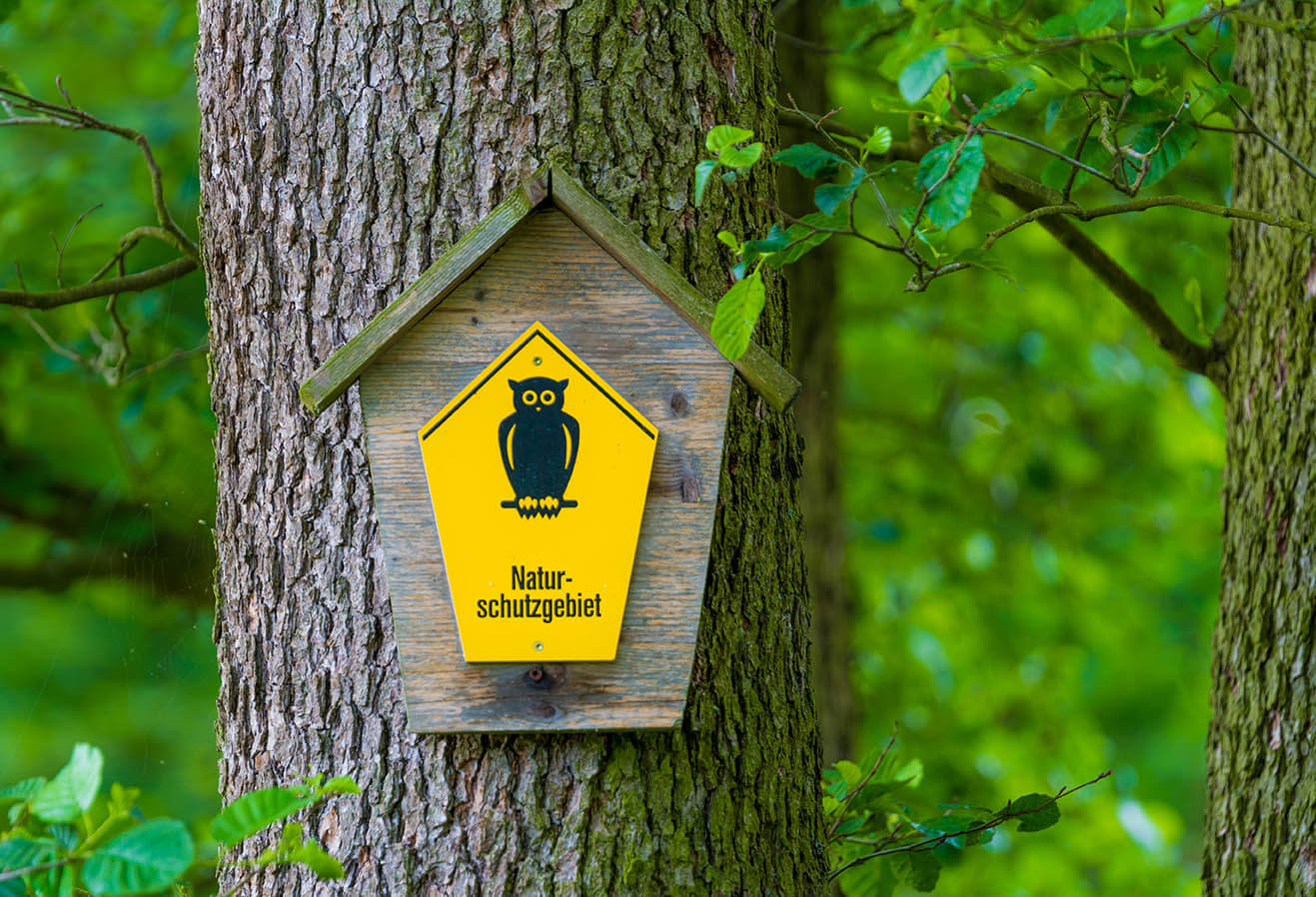 Achtung Eule! Ein Blick in Deutschlands Schutzgebiete