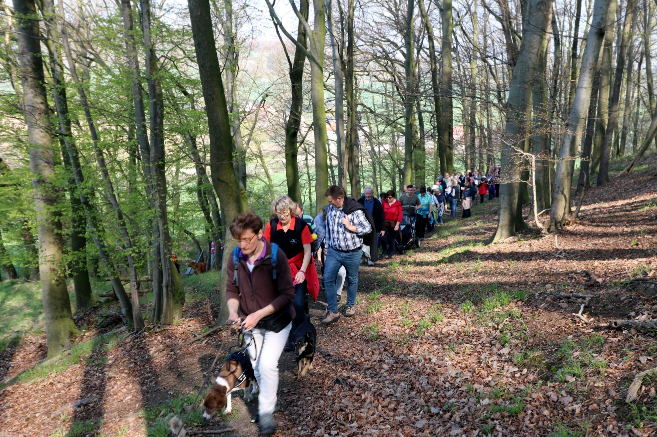 Weg der Sinne in Extertal-Laßbruch Weg der Sinne in Extertal-Laßbruch