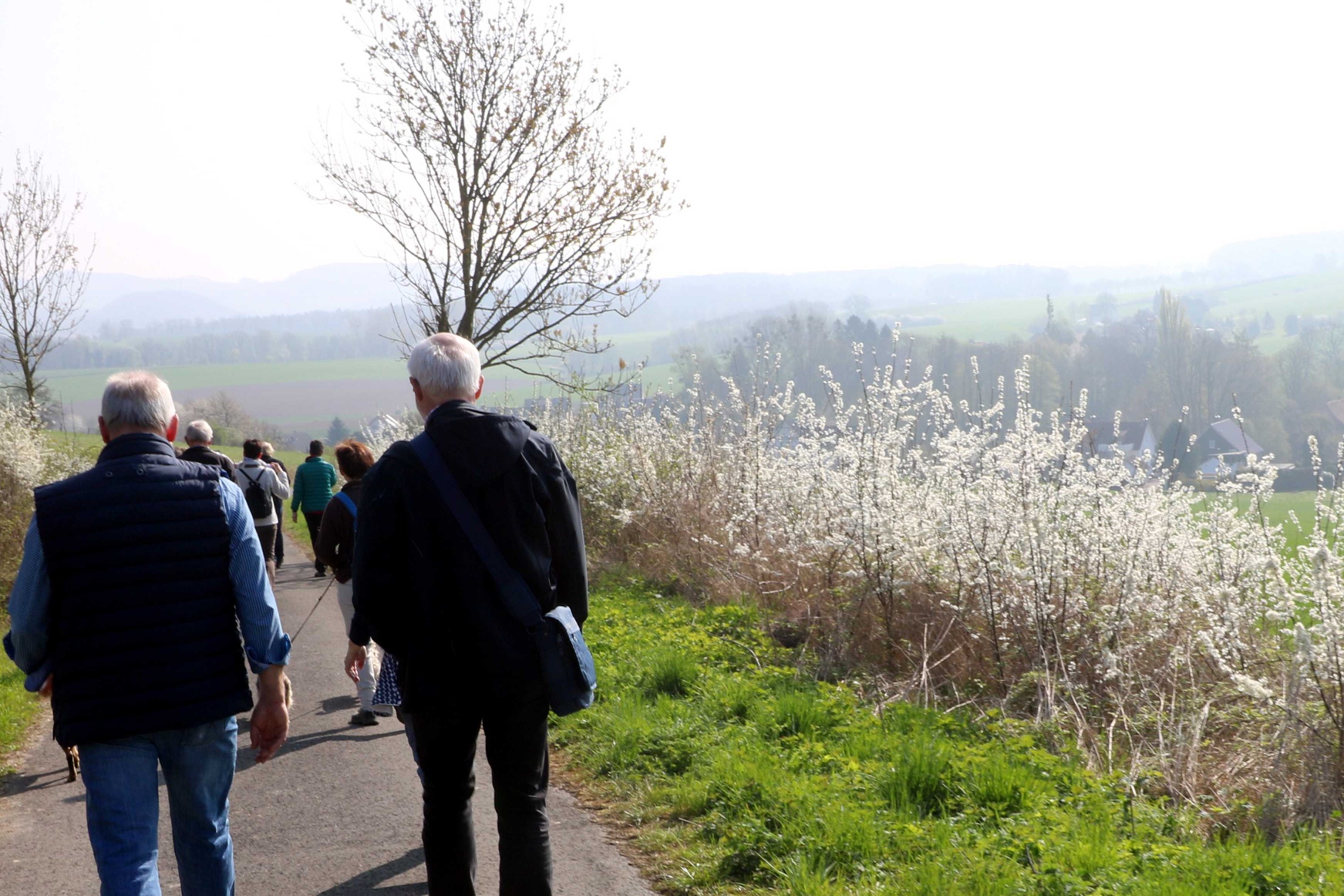Weg der Sinne in Extertal-Laßbruch Weg der Sinne in Extertal-Laßbruch