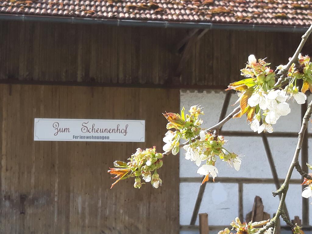 Ferienwohnungen "Zum Scheunenhof" | DonauTouren