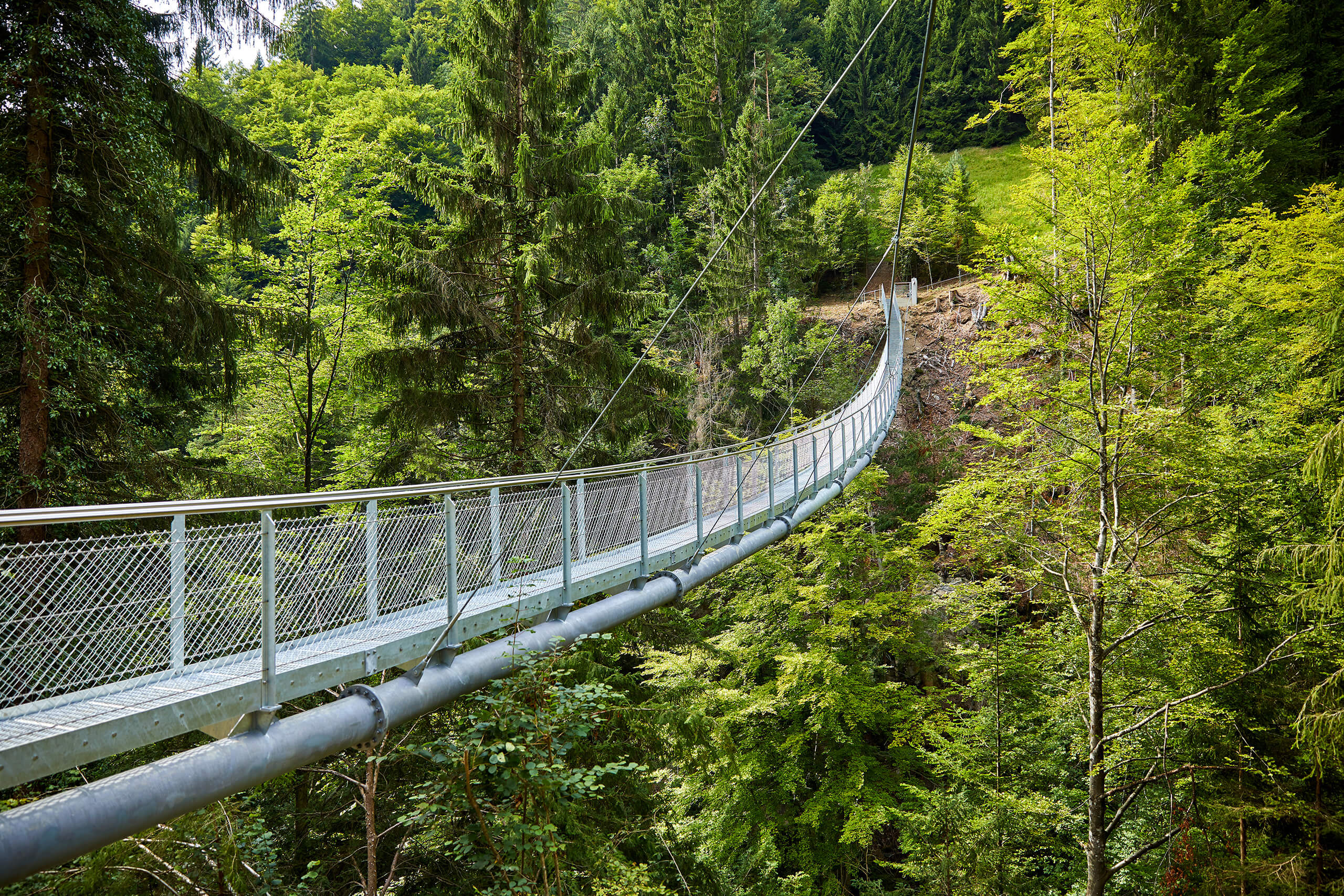 Beatenberg suspension bridge | interlaken.ch