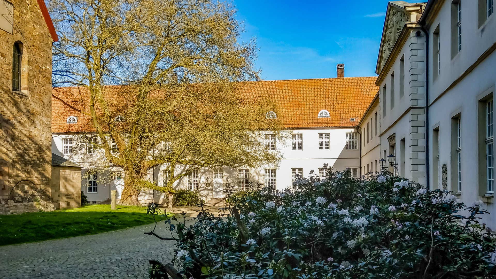 Imagedetailgrun Schwarz Cappenberg Ehrt Drei Meister Grun Schwarz Cappenberg Ev 2022 09 01457770
