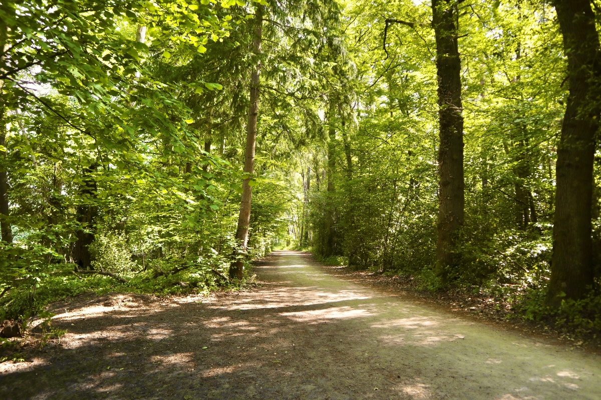 Schlossweg mit Querverbindung Hofweg