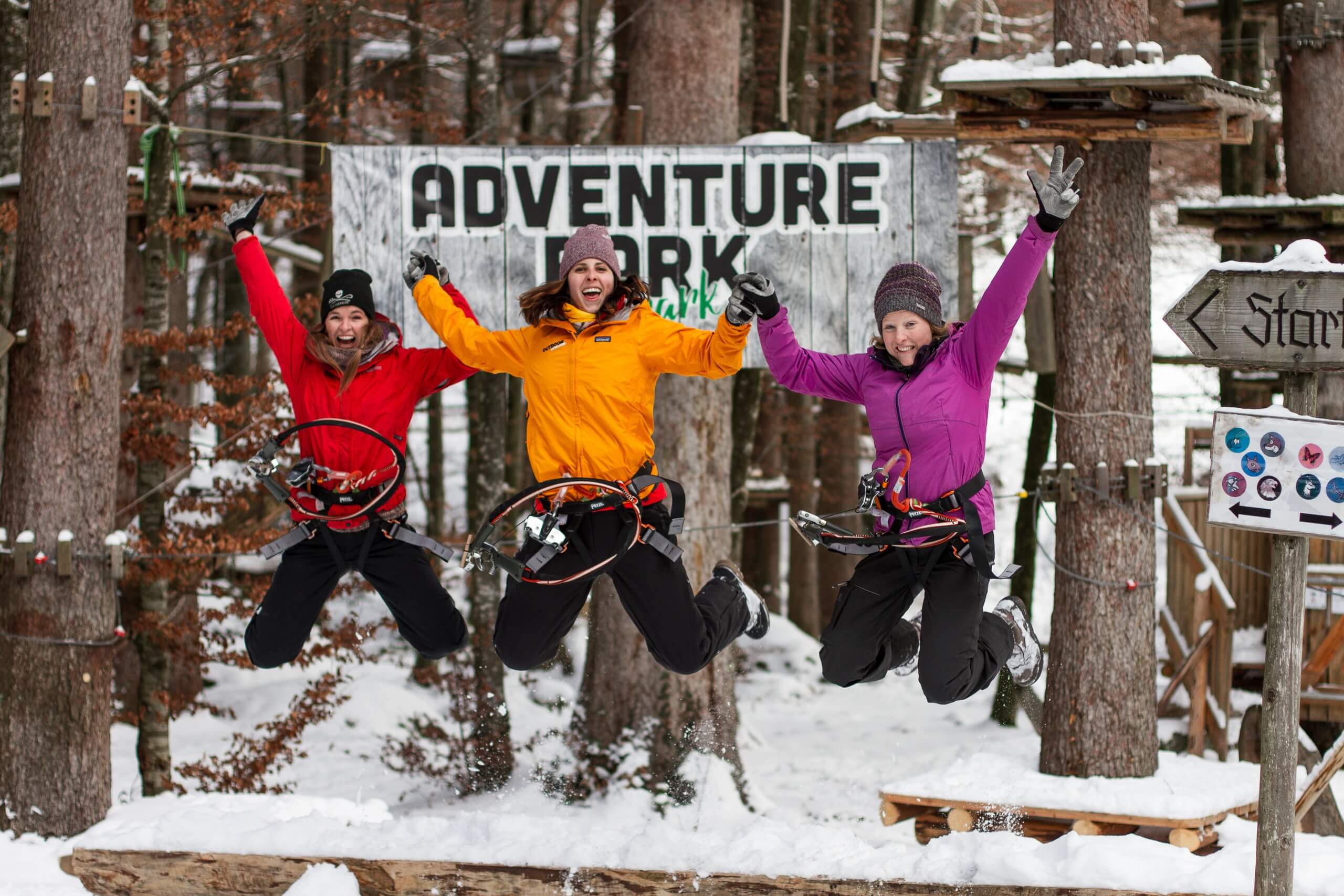 Ropes Park Interlaken