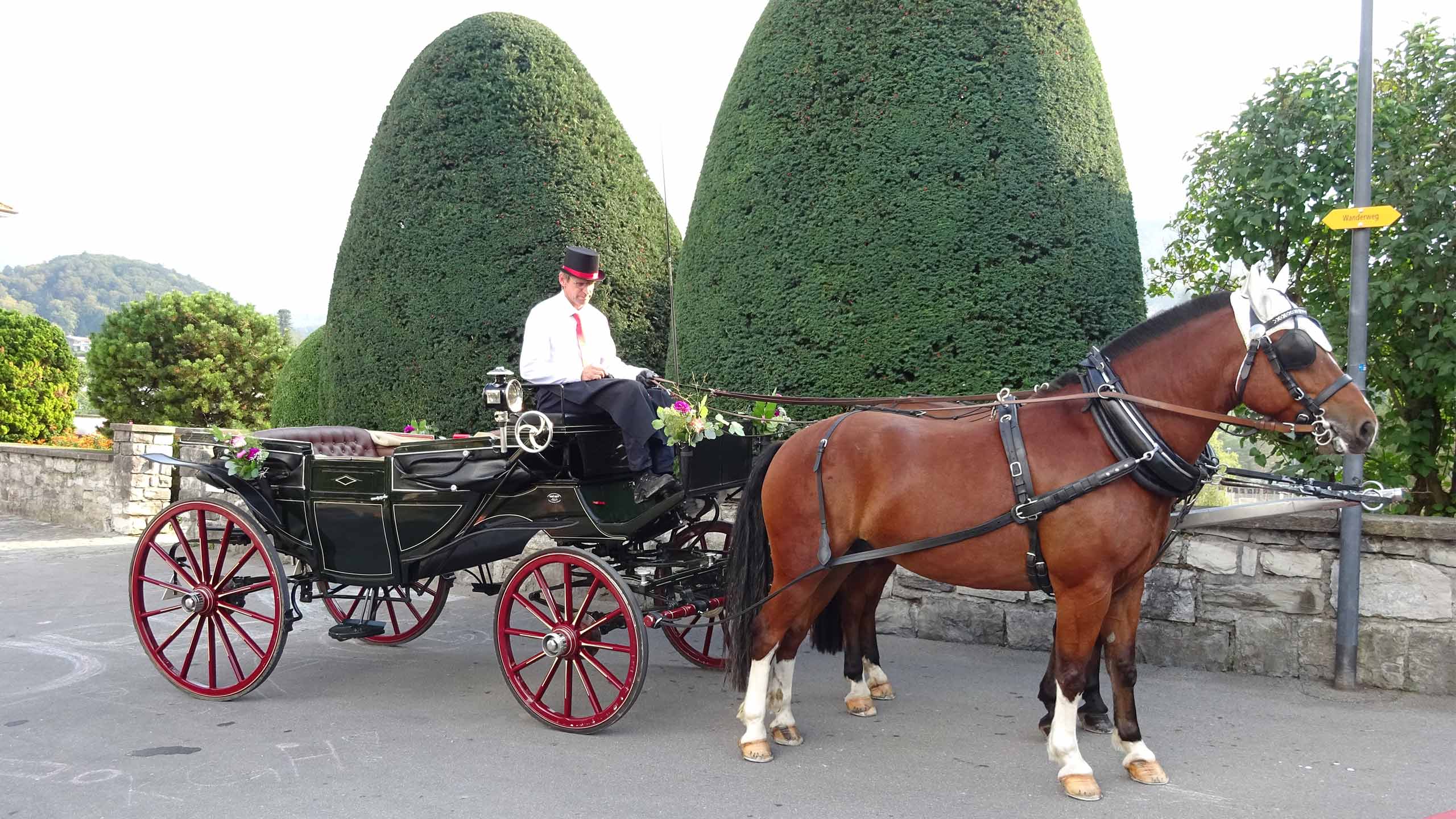 Balades en calèche à Aeschi | interlaken.ch