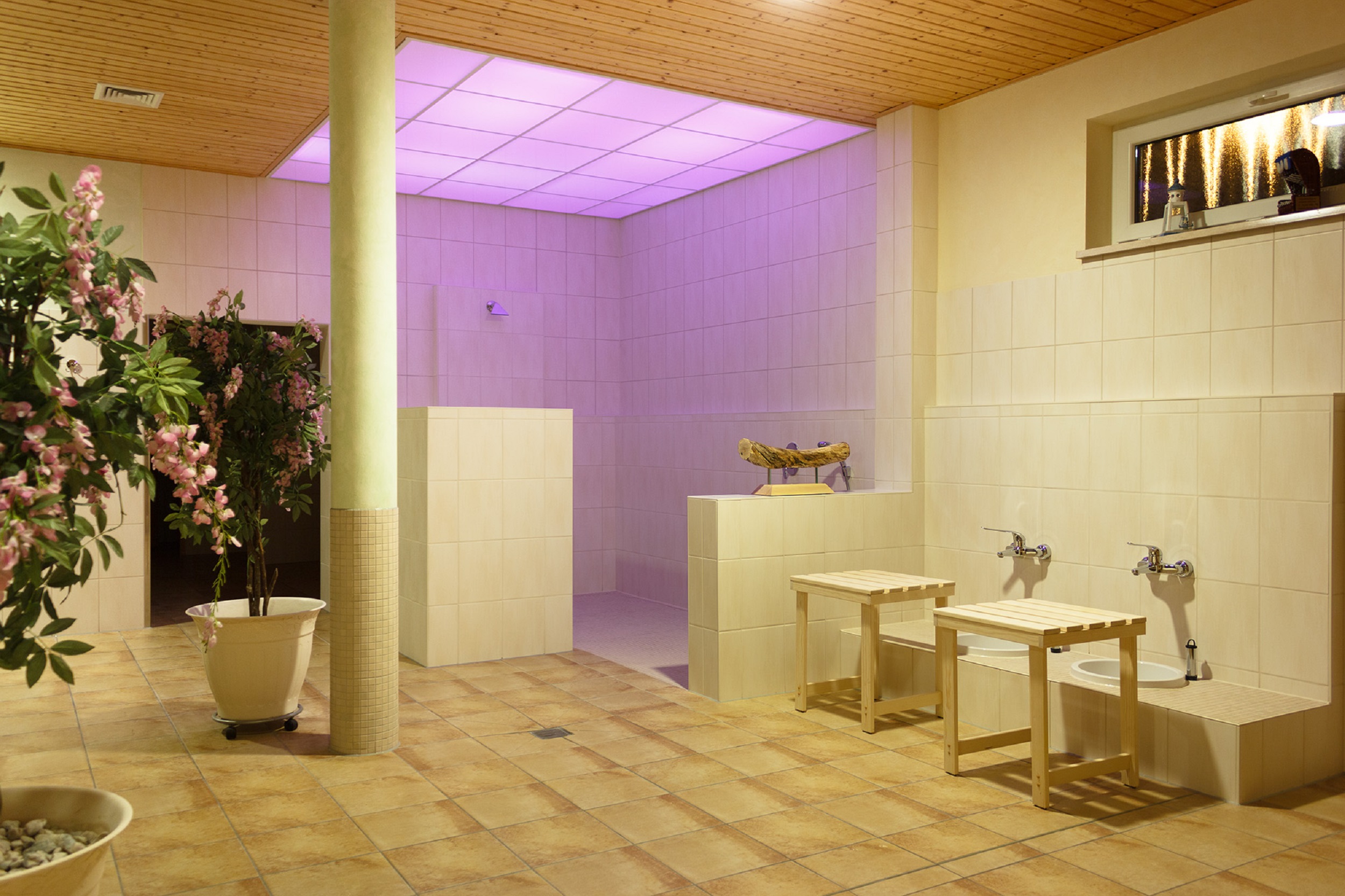 Pool- und Saunaparadies "Seestern" ♥ Leipzig Region