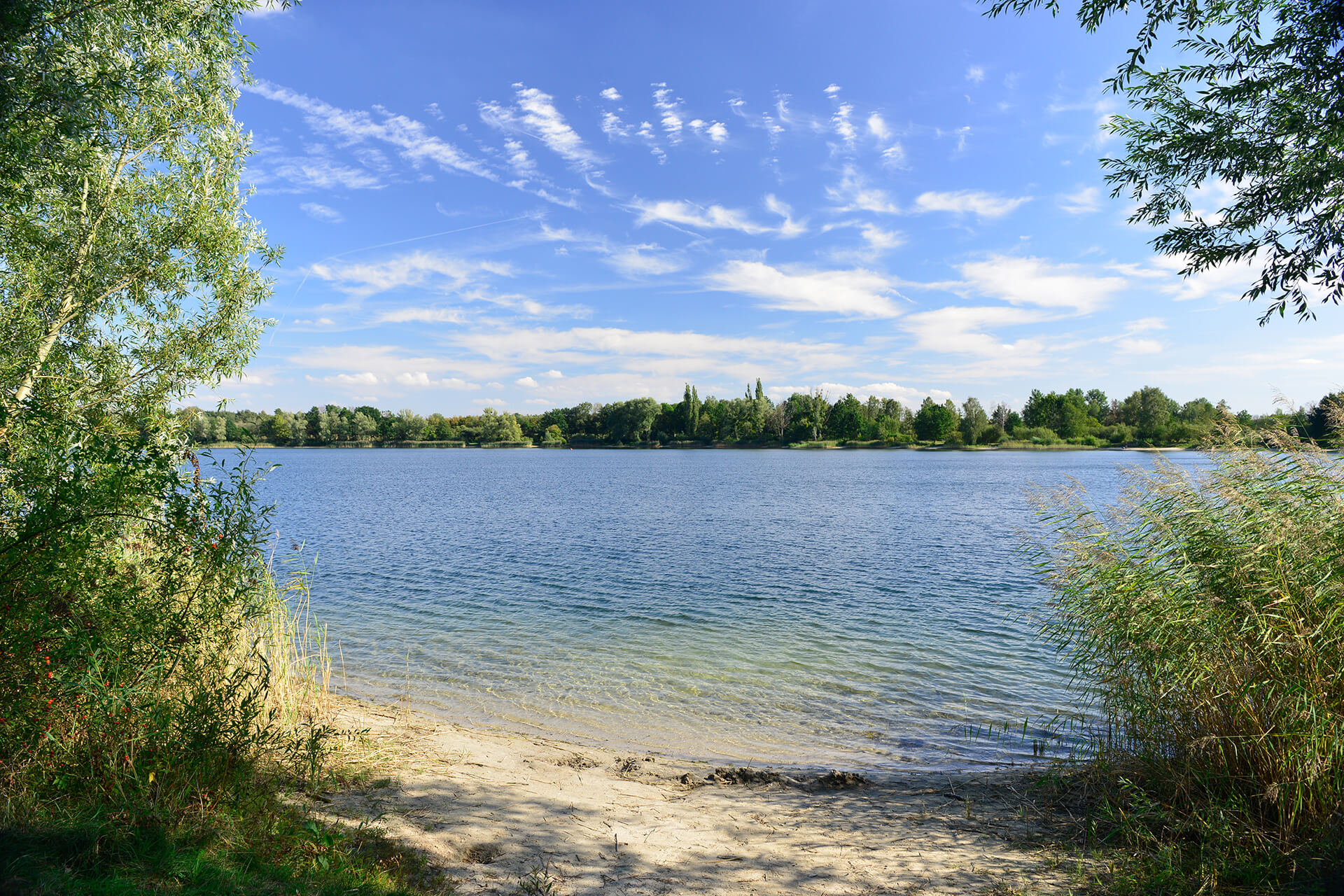 Tankumsee