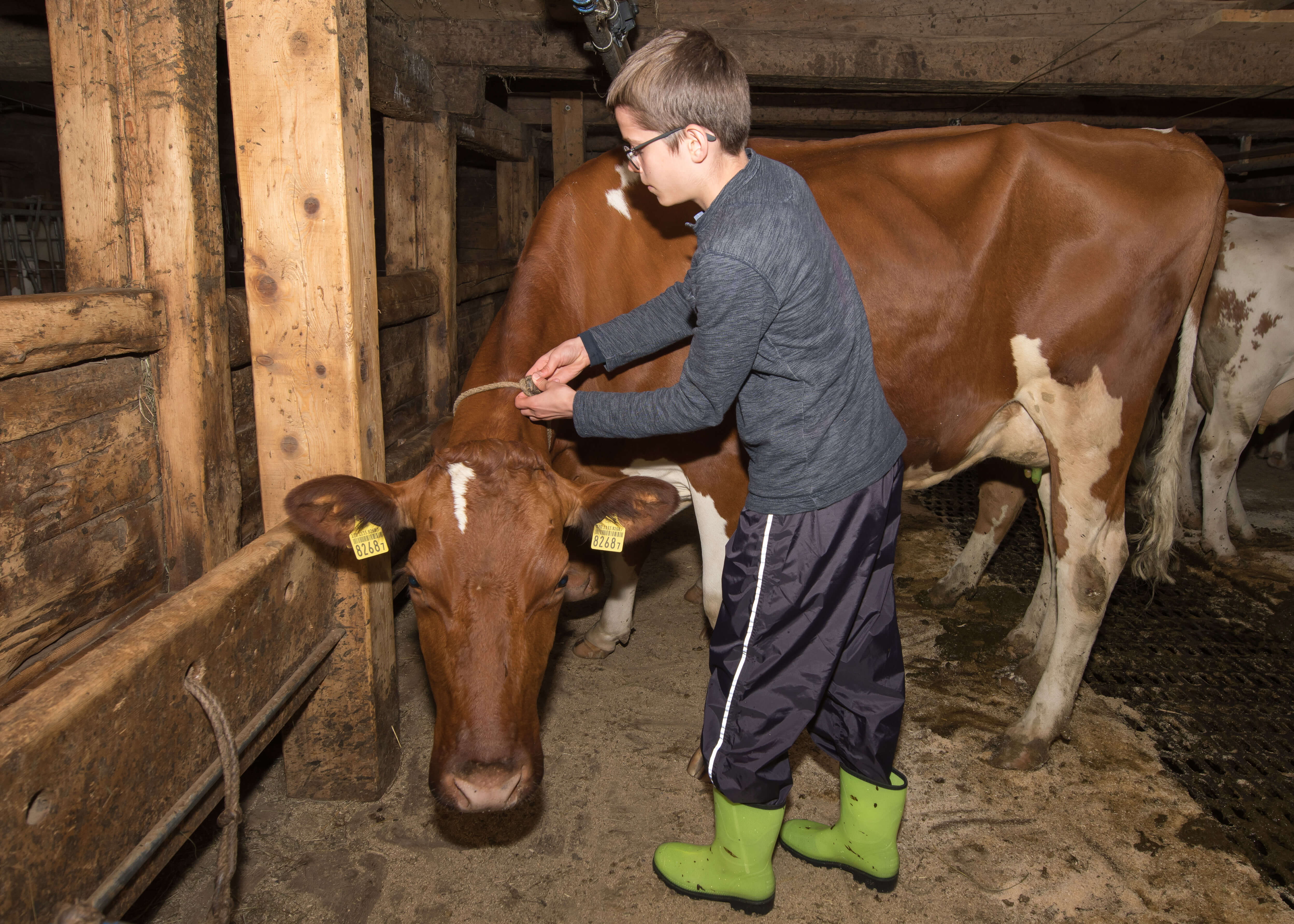 Schule auf der Alp «24-Stunden-Alperlebnis»