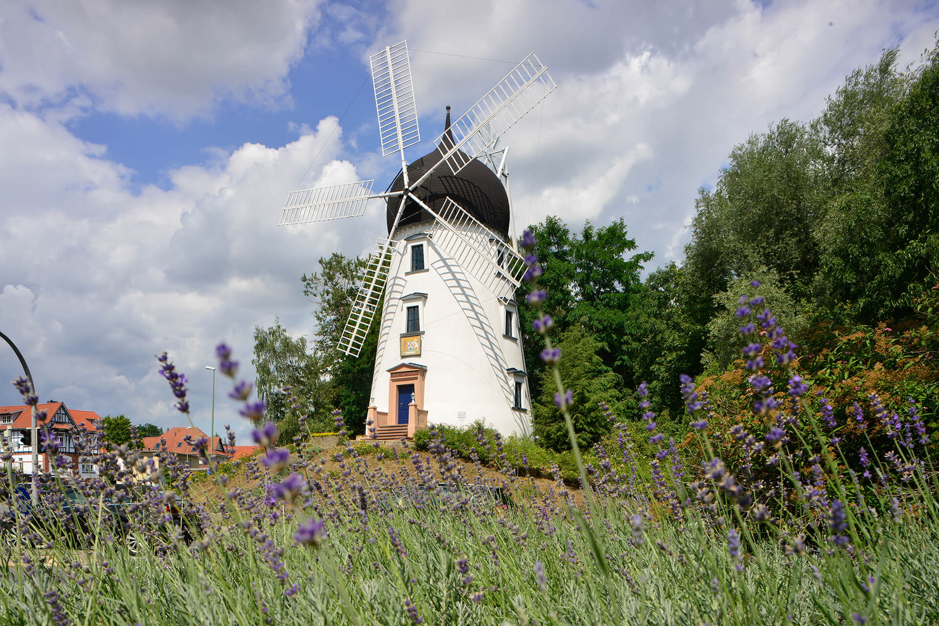 Hochzeitsmühle "Lady Devorgilla"