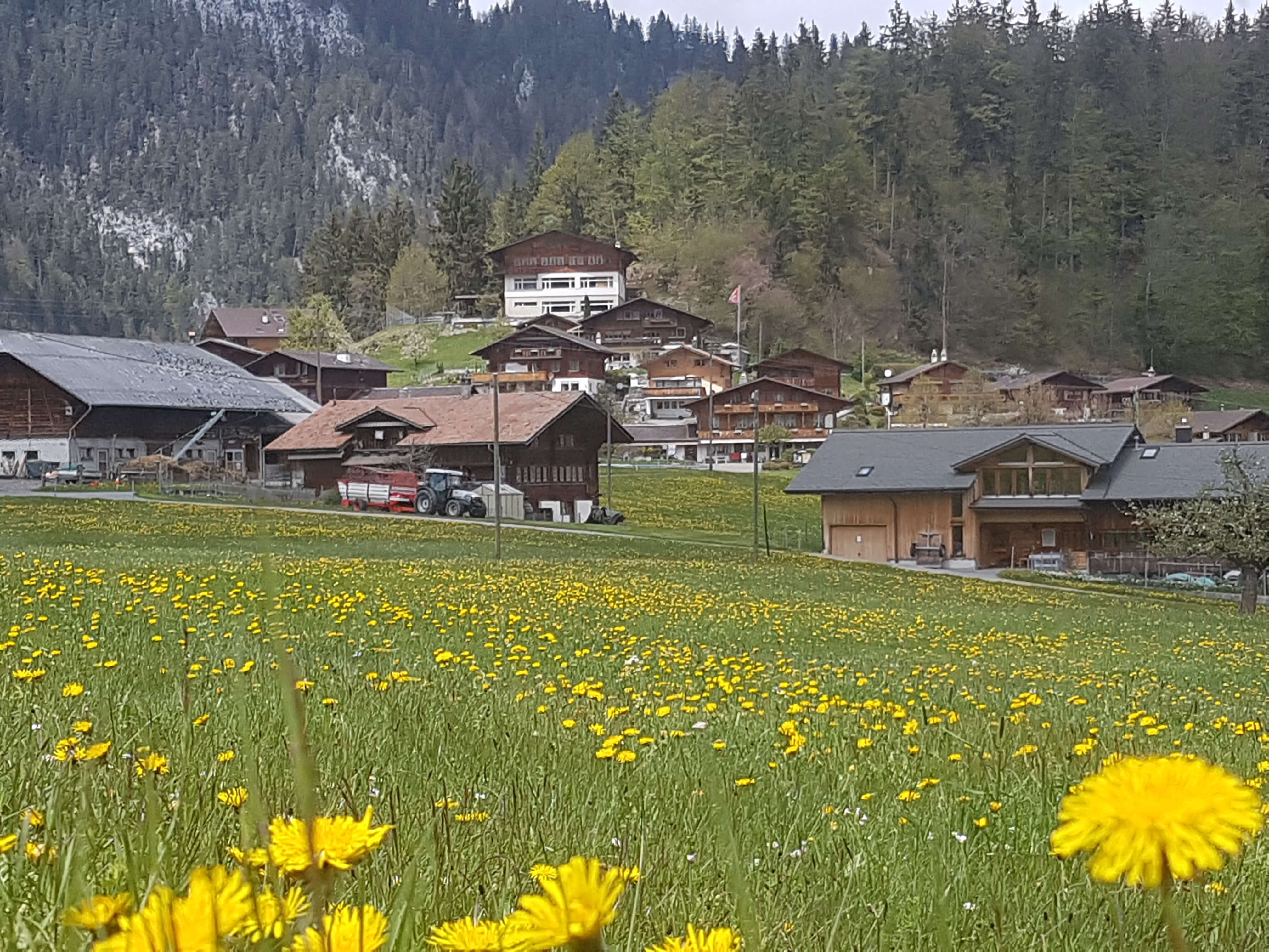Wohnung Adlerhorst
